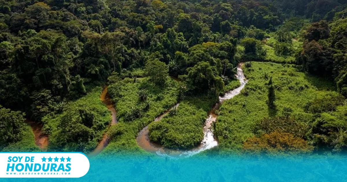 Ciudad Blanca o Ciudad del Dios Mono en Honduras. Conoce todo lo que ...