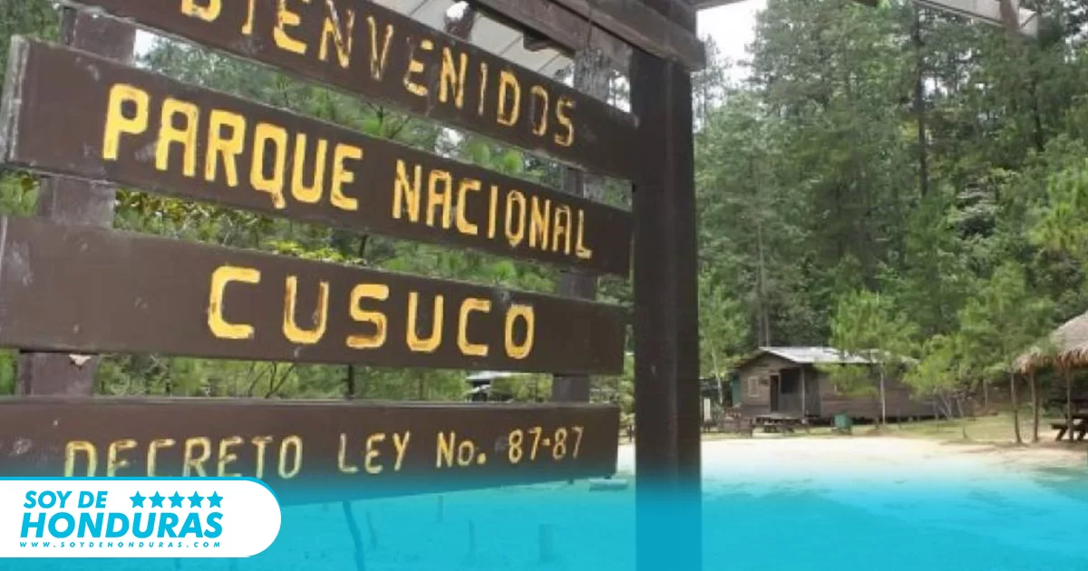 Parque Nacional Cusuco, una magnífica joya natural ubicada en la zona ...